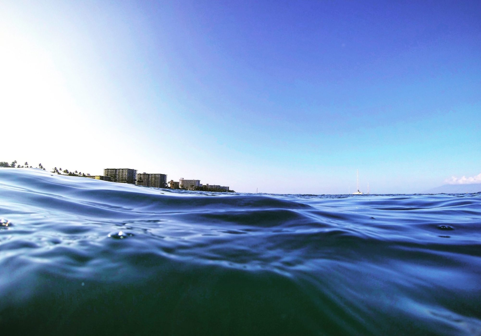Lahaina Water Activities | Lahaina Activities