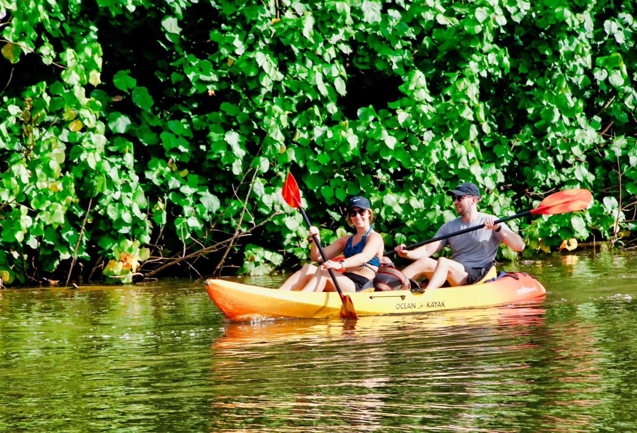 Lahaina Kayak Tours & SUP Lessons | Lahaina Activities